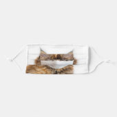 Face mask on Maine Coon cat | Zazzle