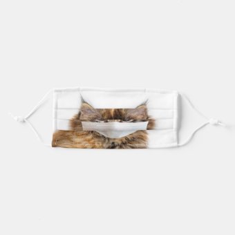 Face mask on Maine Coon cat | Zazzle