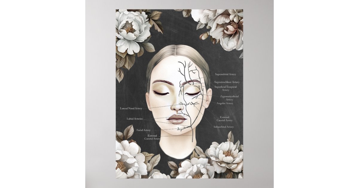 Facial Blood Vessels Face Anatomy Art Poster | Zazzle
