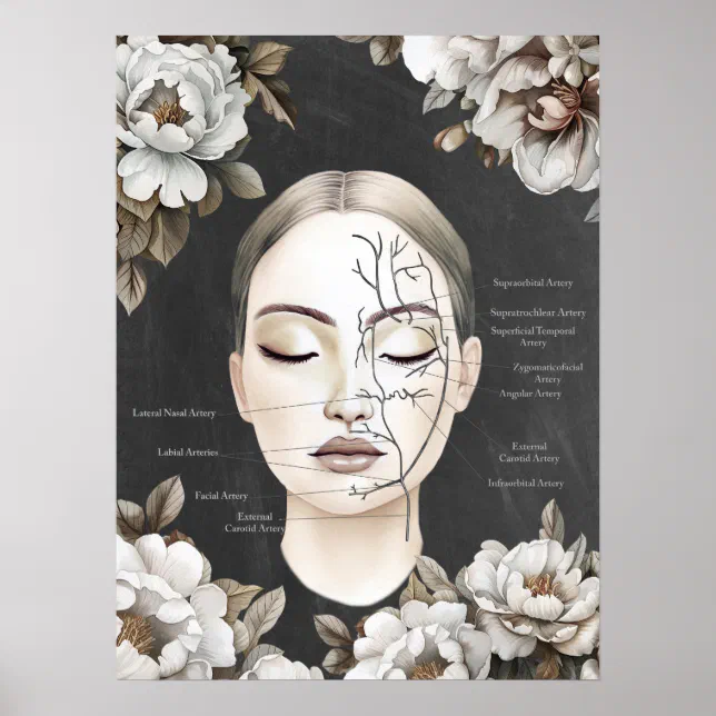 Facial Blood Vessels Face Anatomy Art Poster | Zazzle