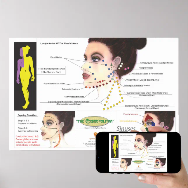 Facial Cupping Poster | Zazzle