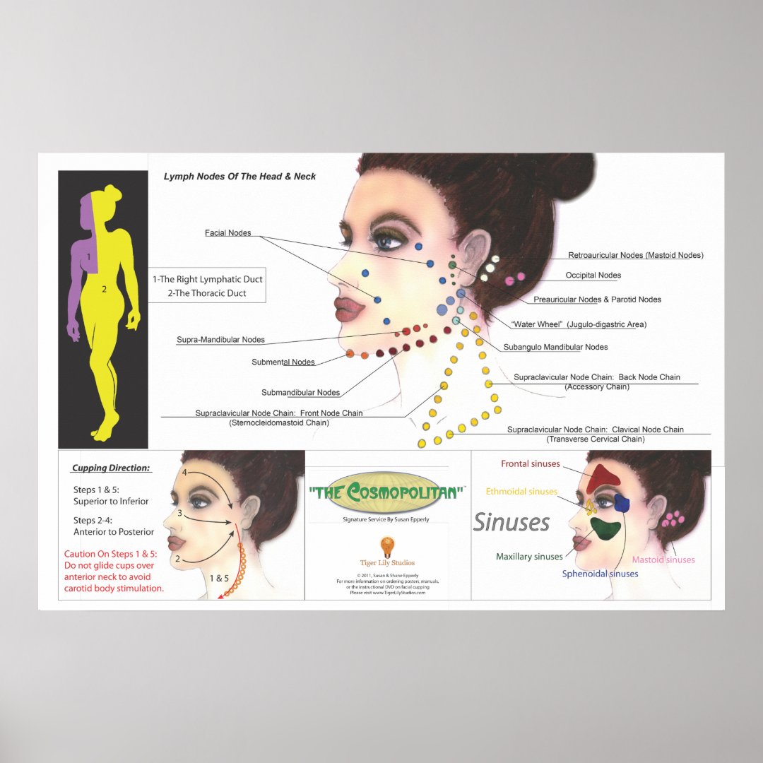 Facial Cupping Poster | Zazzle