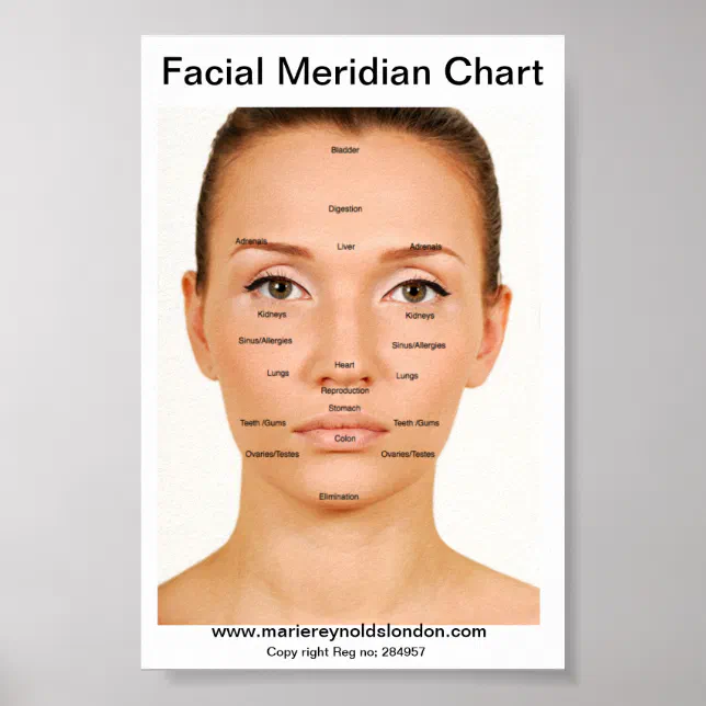 Facial Meridian Chart | Zazzle