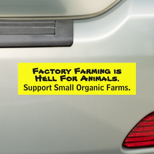 Factory Farming Is Hell Bumper Sticker | Zazzle