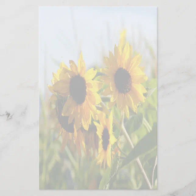 Faded Autumn Sunflowers Stationery | Zazzle