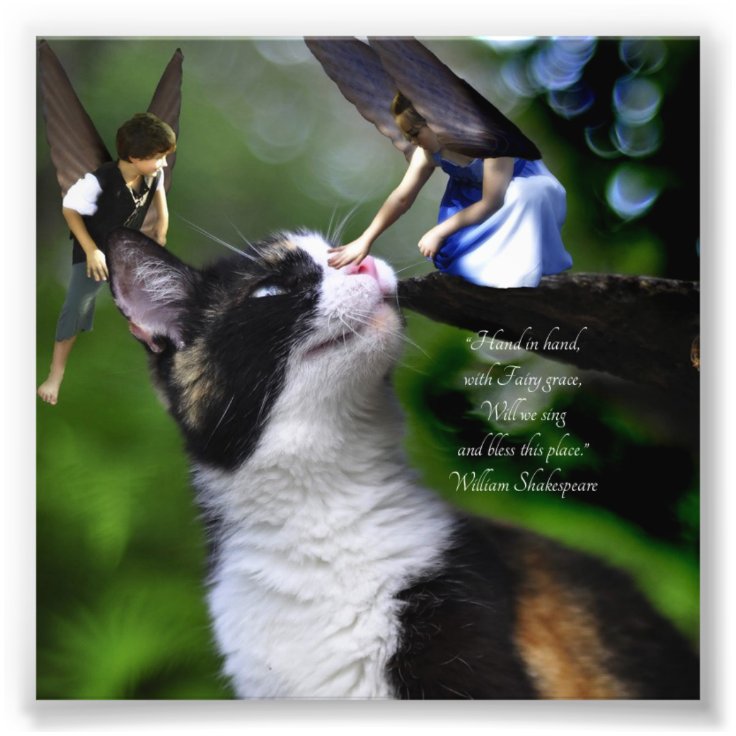 Fairies with Cat William Shakespeare Quote Print | Zazzle