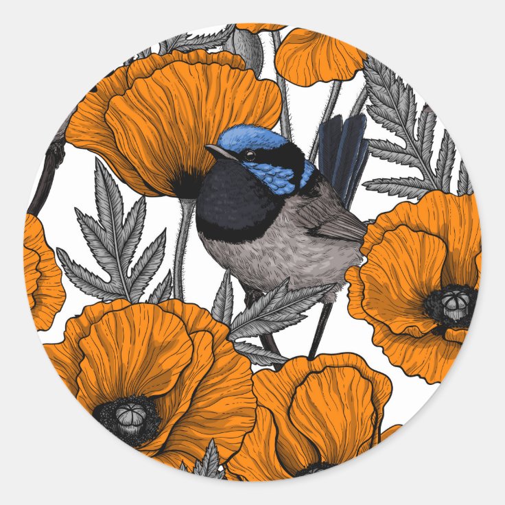 Fairy wrens and orange poppy flowers 2 classic round sticker | Zazzle