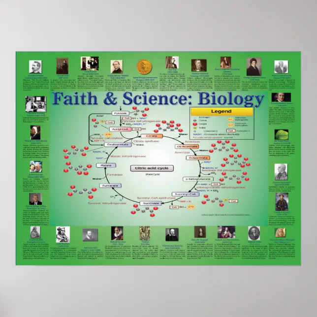 Faith and Science: Biology (Krebs Cycle) Poster | Zazzle