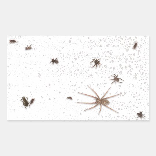 Fake Bugs On Screen Or Window Prank Rectangular Sticker | Zazzle.com