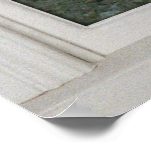 Fake Faux Window Illusion Realistic Desert View Poster | Zazzle