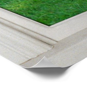 Fake Window - White Wood Frame - Backyard View Poster | Zazzle