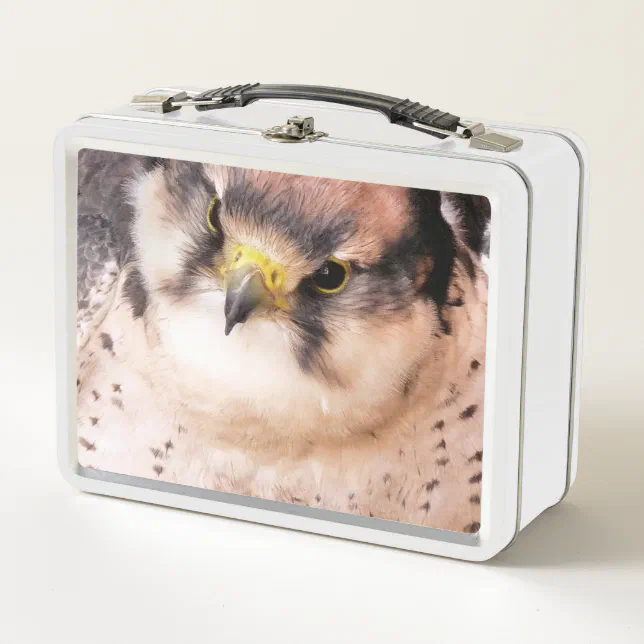 FALCON METAL LUNCH BOX | Zazzle