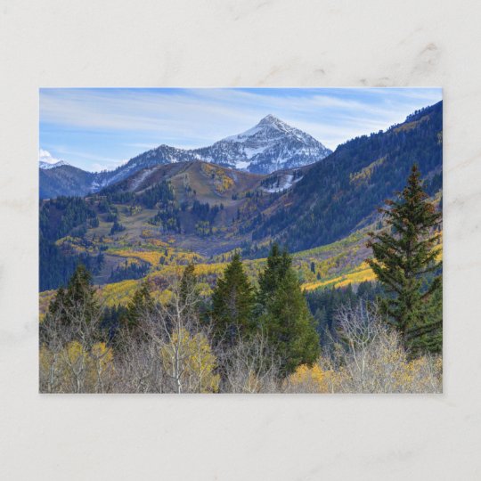 Fall At Cascade Peak And Sundance From Alpine Loop Postcard | Zazzle.com