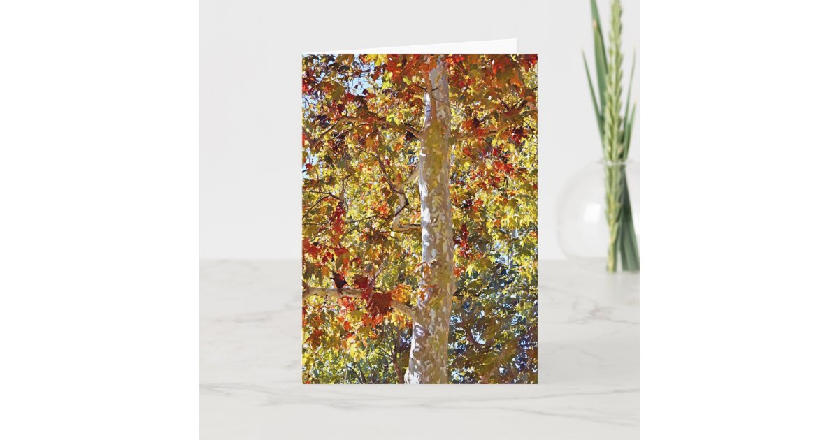 Fall Autumn Sycamore Tree Art Note Card | Zazzle