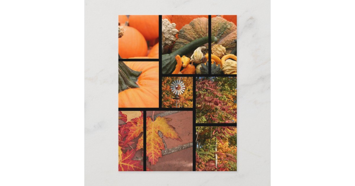 Fall Collage Postcard | Zazzle