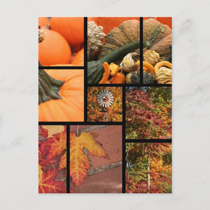 Fall Collage Postcard | Zazzle