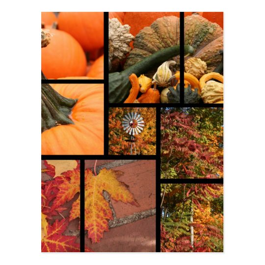 Fall Collage Postcard | Zazzle.com