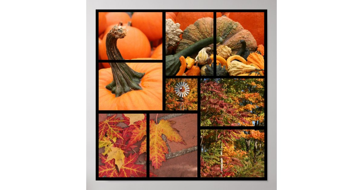 Fall Collage Poster | Zazzle