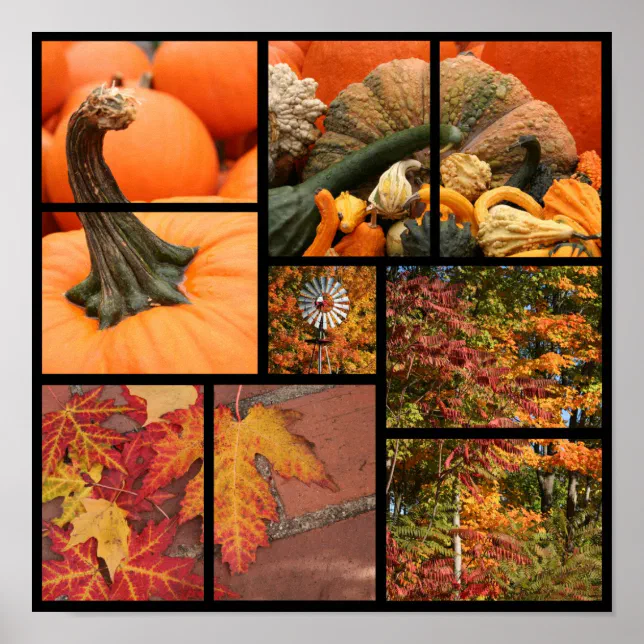 Fall Collage Poster | Zazzle