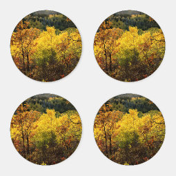 Fall Colors Coaster Set | Zazzle