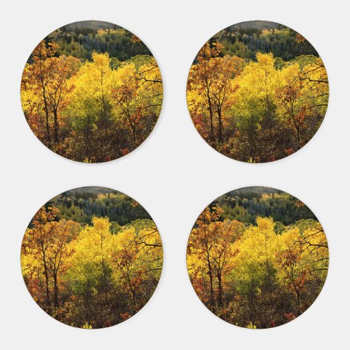 Fall Colors Coaster Set | Zazzle
