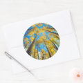 Fall colors of Aspen trees 2 Classic Round Sticker | Zazzle