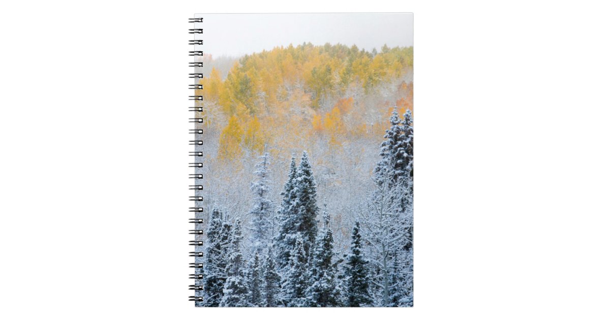 Fall Colors of Aspens & Fresh Snow Keebler Pass Notebook | Zazzle