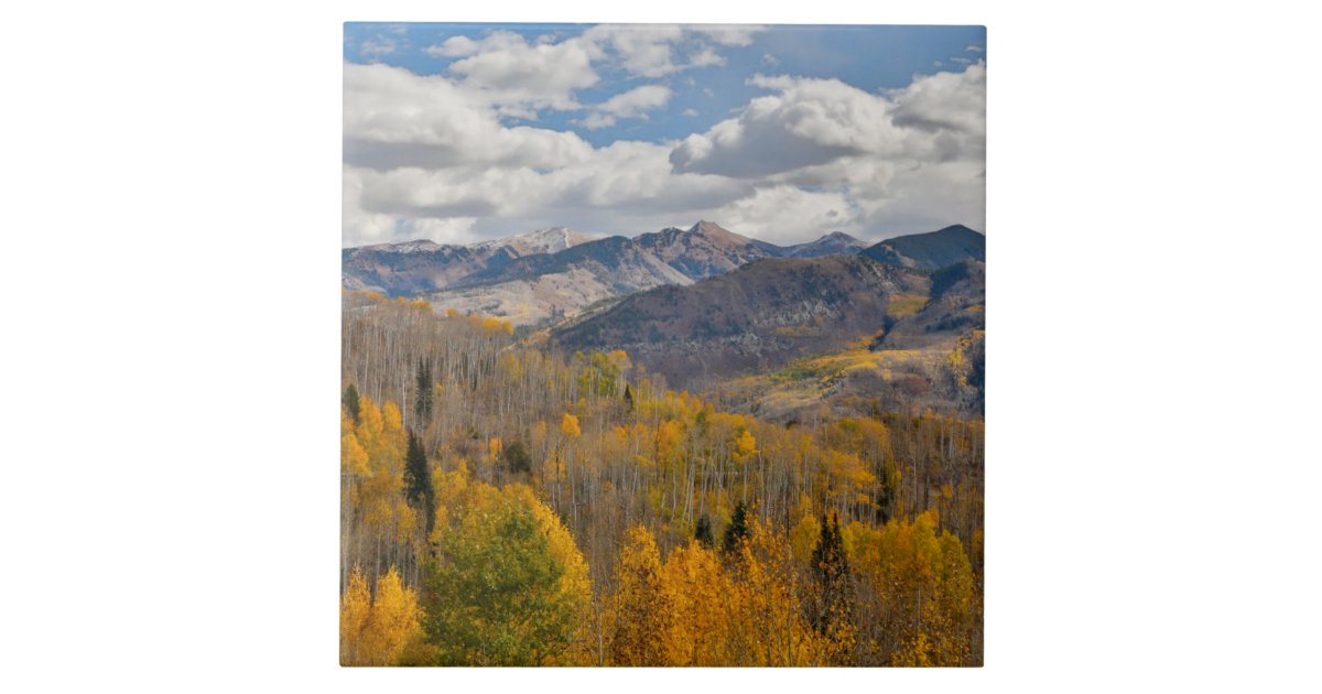 Fall Colors of Aspens & Oaks Keebler Pass Ceramic Tile | Zazzle