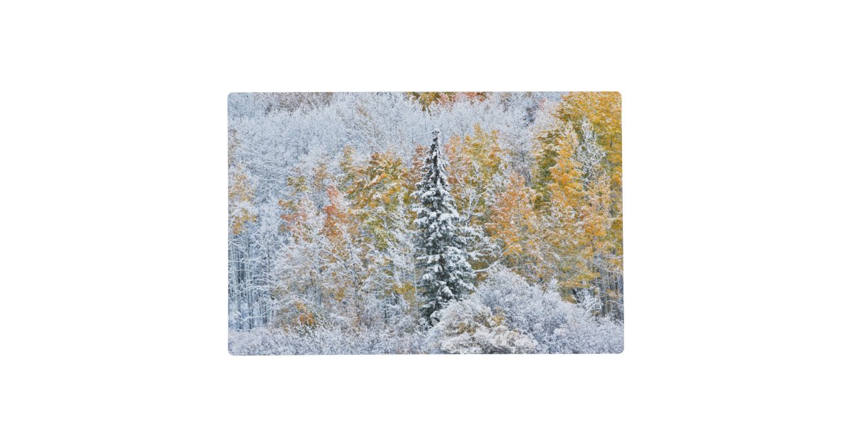 Fall Colors of Aspens & Snow Keebler Pass Placemat | Zazzle