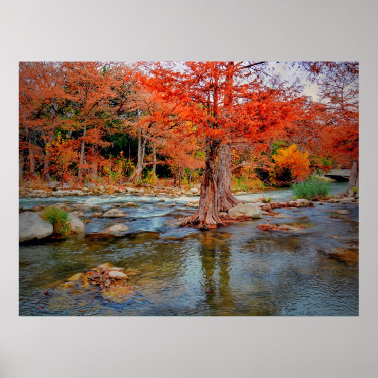 Fall Colors Poster | Zazzle