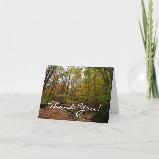 Fall Creek at Laurel Hill State Park Pennsylvania Thank You Card | Zazzle