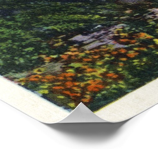 Fall Creek Gorge View, Ithaca Falls Scene Poster | Zazzle