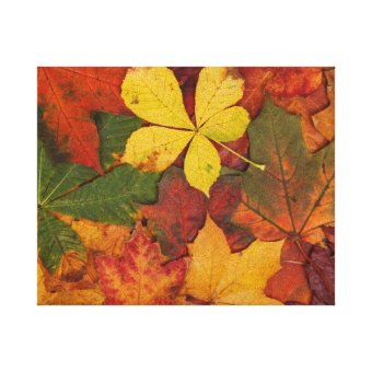 Fall Foliage Canvas Print | Zazzle