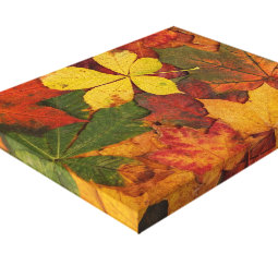 Fall Foliage Canvas Print | Zazzle
