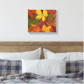 Fall Foliage Canvas Print | Zazzle