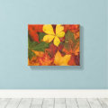 Fall Foliage Canvas Print | Zazzle