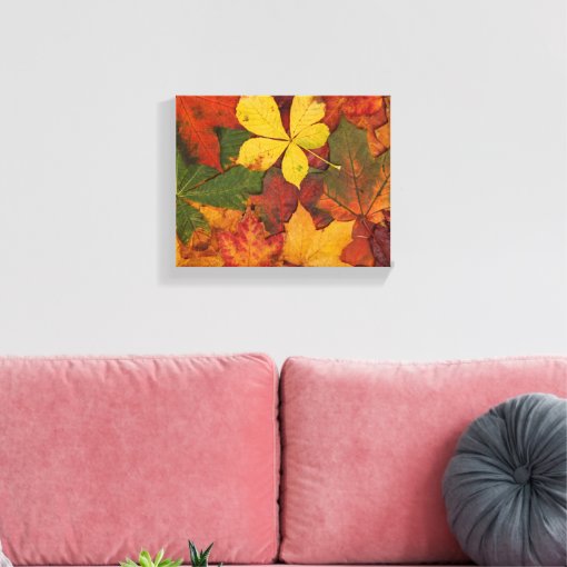 Fall Foliage Canvas Print | Zazzle