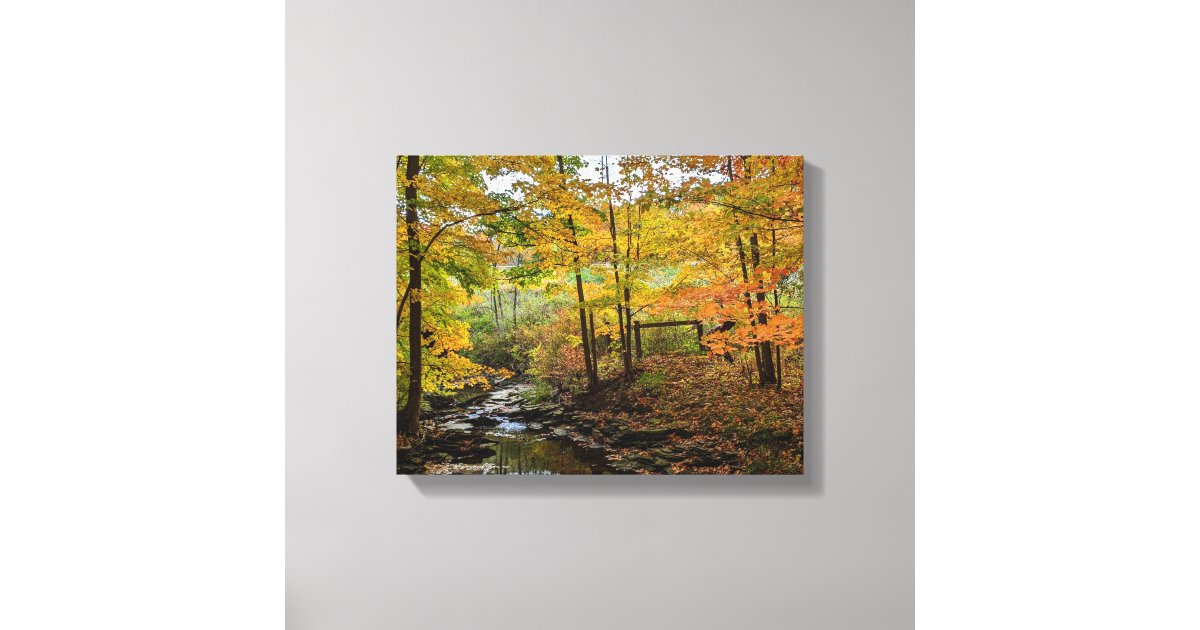 Fall Foliage Canvas Print | Zazzle