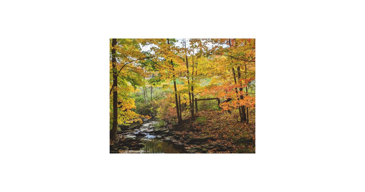 Fall Foliage Canvas Print | Zazzle