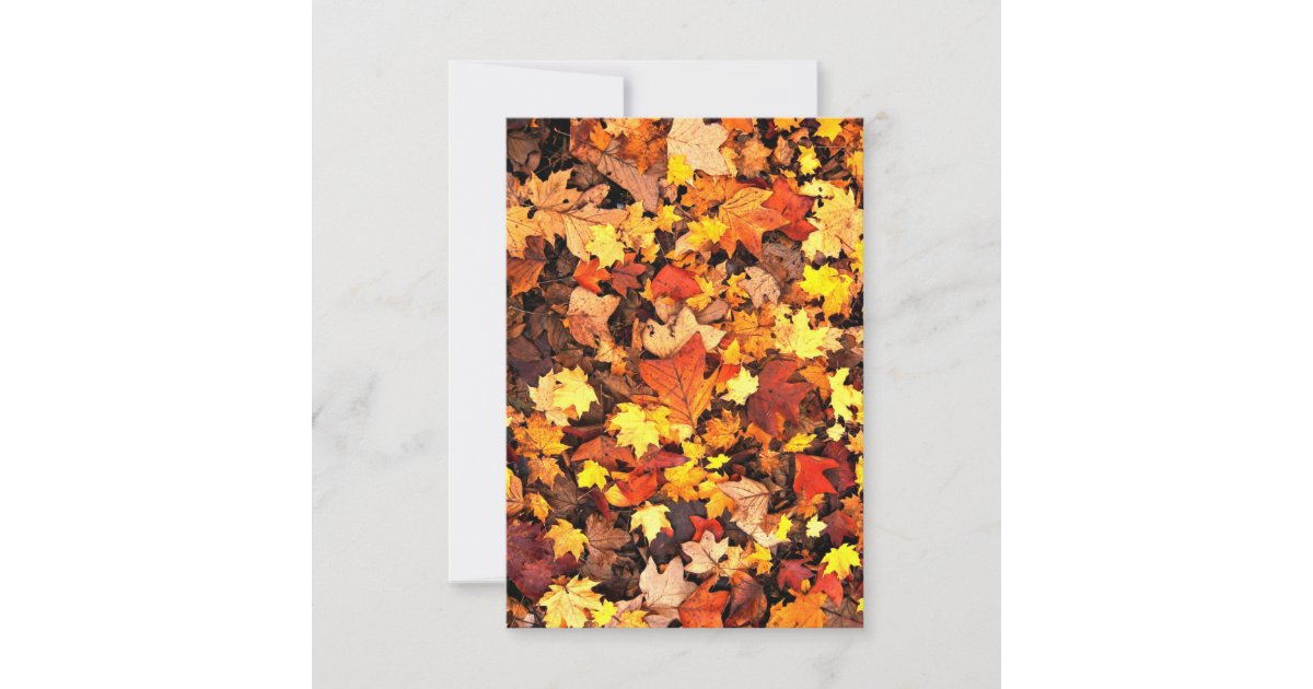 Fall Foliage Greeting Card | Zazzle