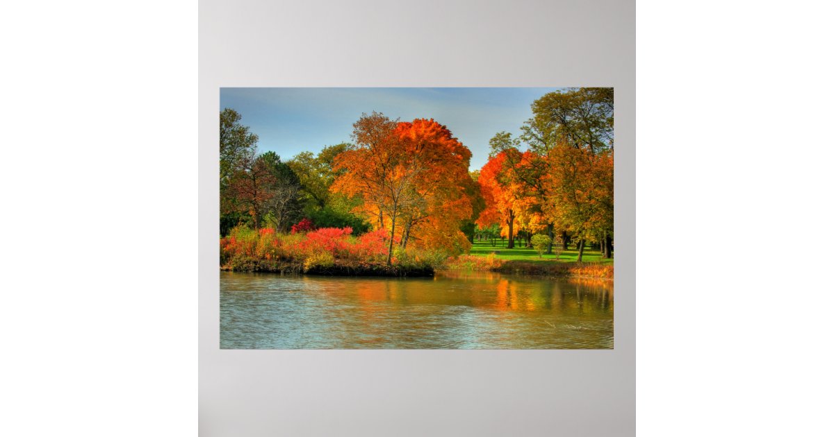 Fall Foliage Poster | Zazzle