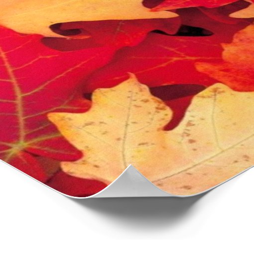 Fall For a Good Book Reading Poster | Zazzle