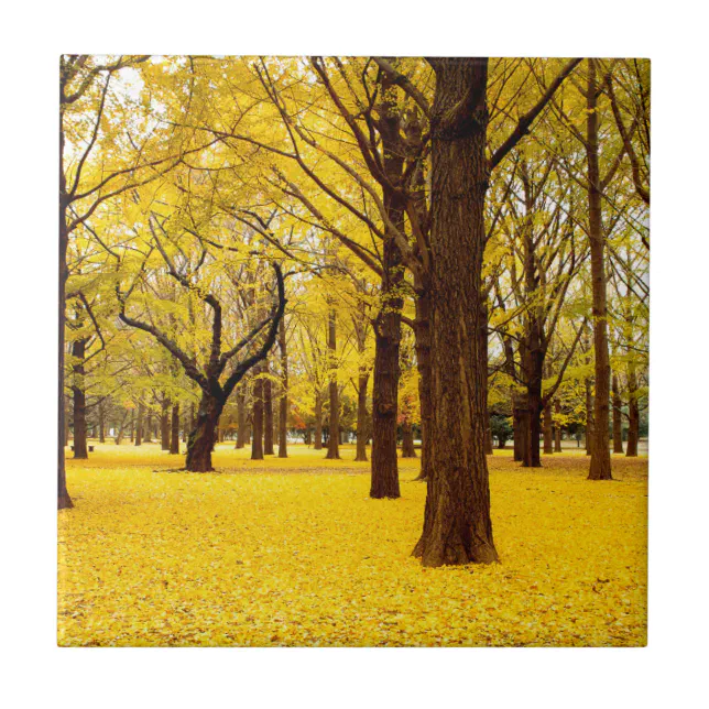 Fall forest scenery ceramic tile | Zazzle