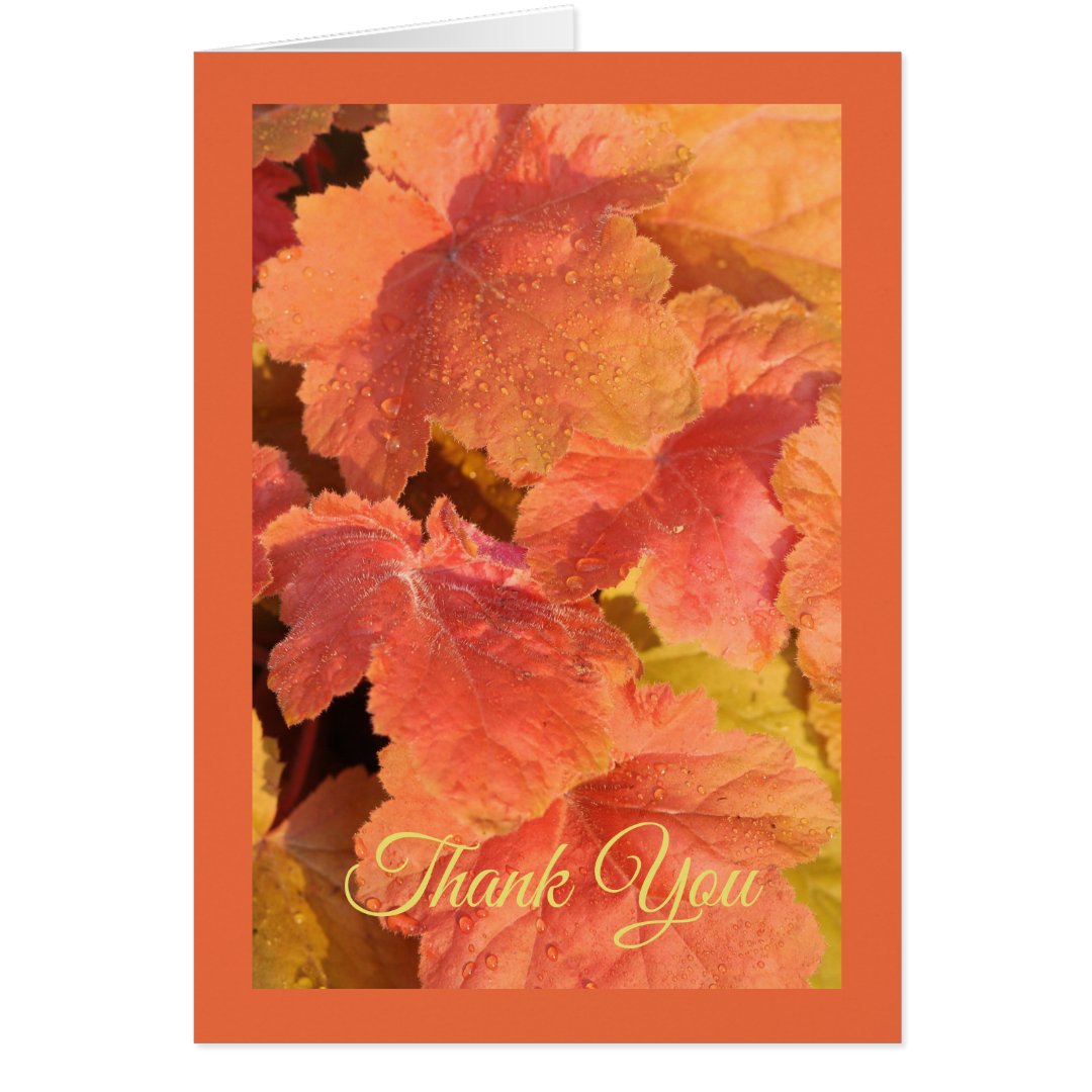 Fall Leaf Greeting Card | Zazzle