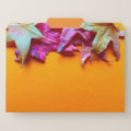 Fall leaves file folder | Zazzle
