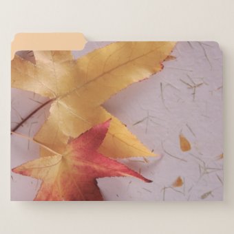 Fall leaves file folder | Zazzle