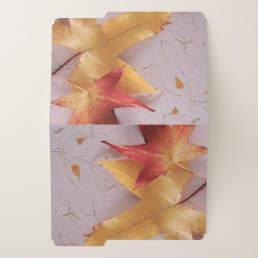 Fall leaves file folder | Zazzle