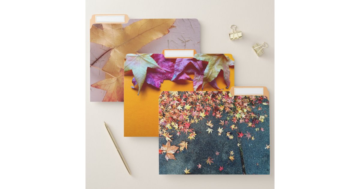 Fall leaves file folder | Zazzle