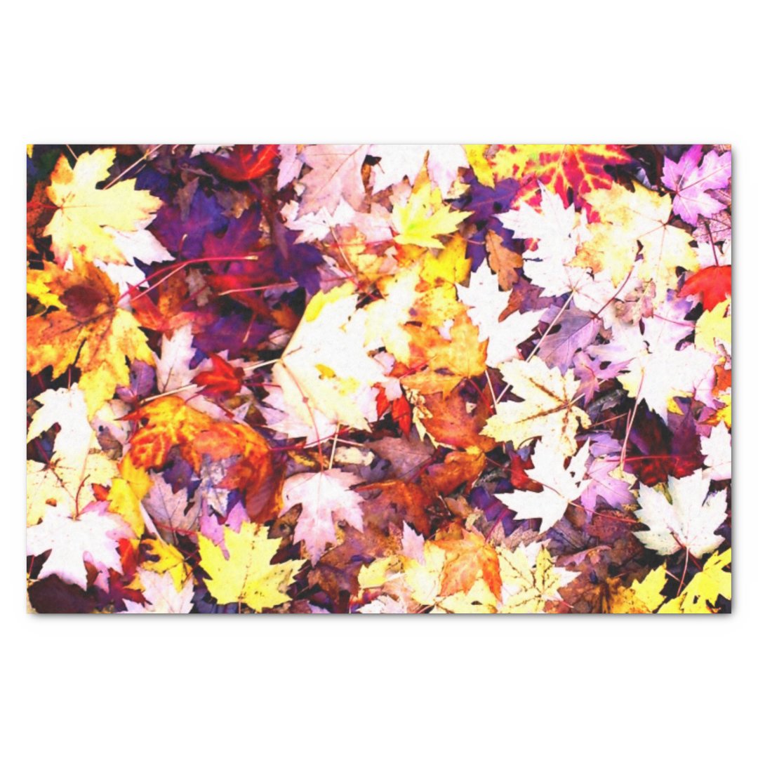 Fall leaves photo print custom decoupage crafts tissue paper | Zazzle