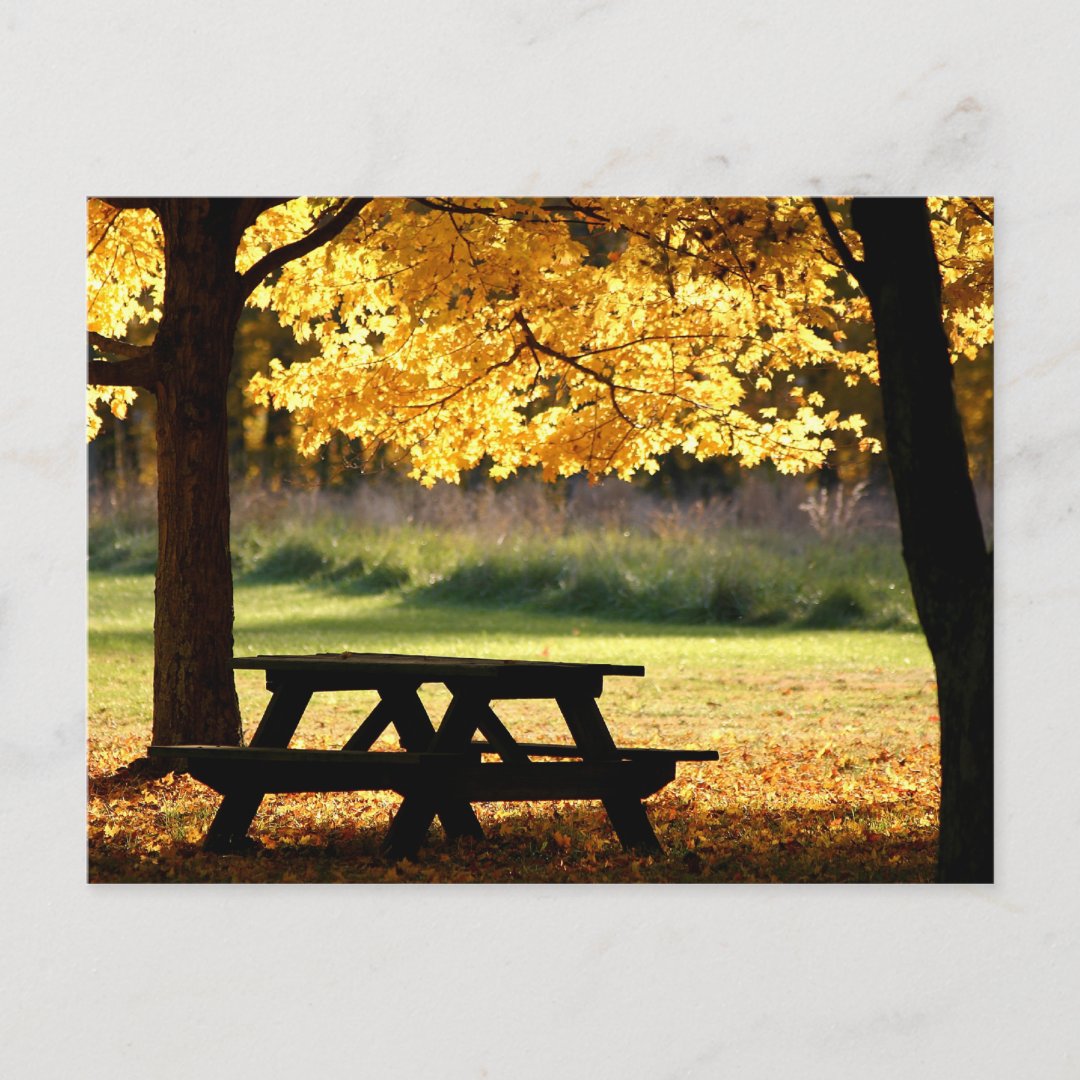 Fall picnic postcard | Zazzle